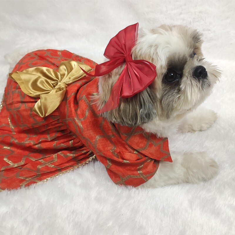 Elegant Dog Dress - Etsy