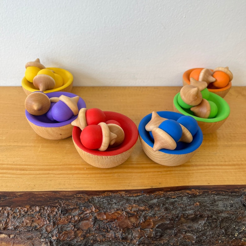 Wooden Acorn Sorting Set / Colour Sorting Acorns / Sorting - Etsy