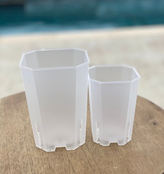 Clear Pot add-on with Plant Purchase Only | Etsy