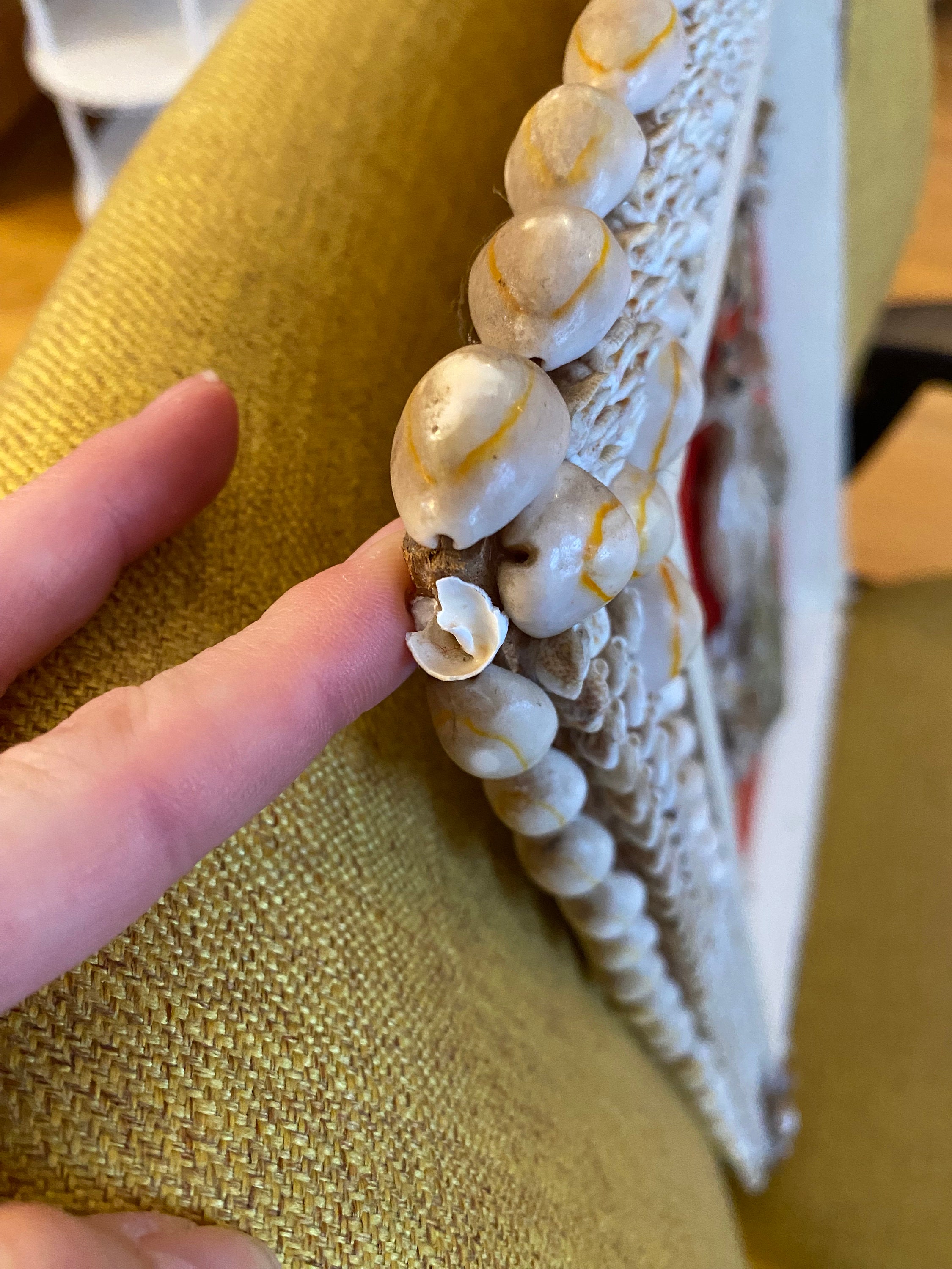 Vintage Peacock Shell Art / Asian Shell Art - Etsy Canada