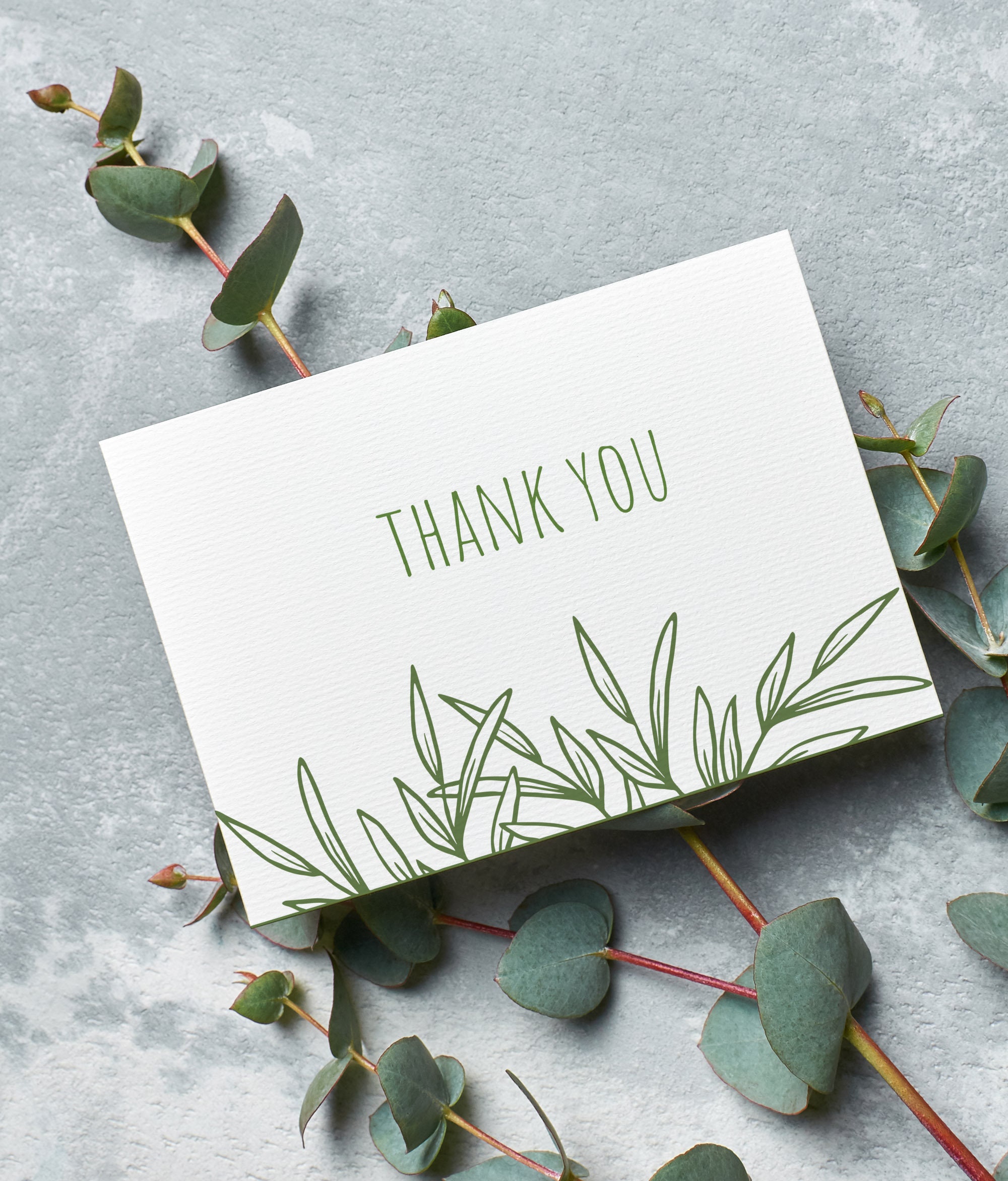 Organic Border Svg-organic Frame Svg Bundle-leaf - Etsy