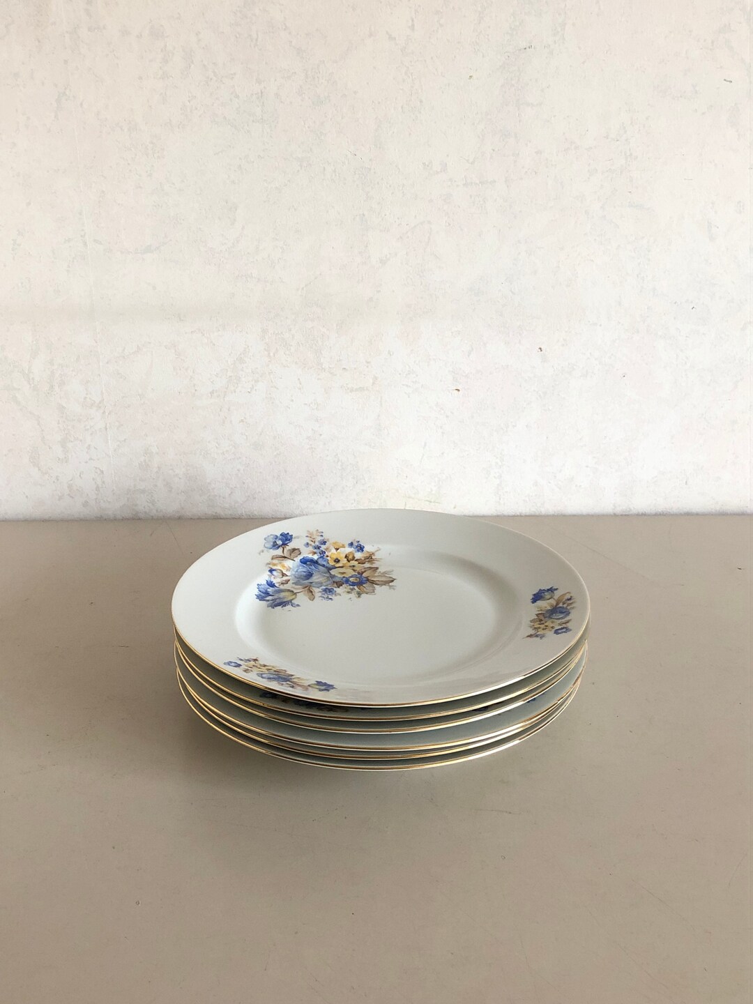 MZ Czechoslovakia 6 Dinner Plates Porcelain Decorated With Flowers ...