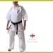 New IKO Kanamura Kyokushin Karate Ichigeki Professional GI Uniform Dogi ...