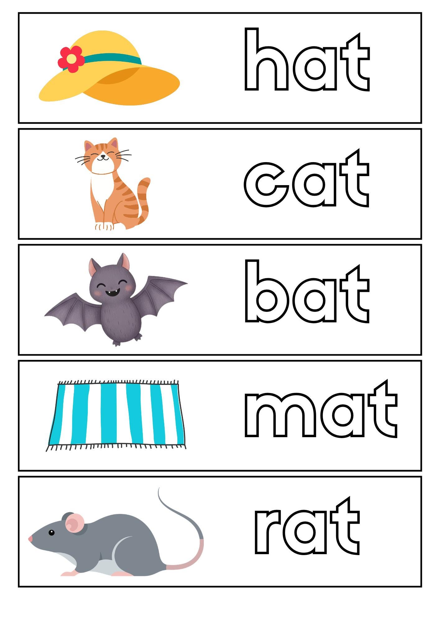 Phonics CVC Words Flash Cards, SEN Learning Resource, Print and Cut Out ...