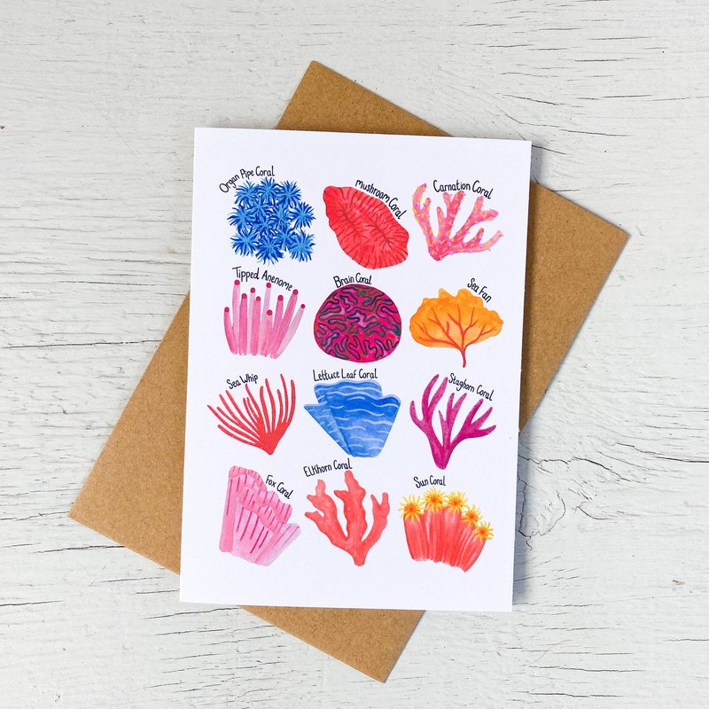 Sea Creature Cards - Etsy Canada