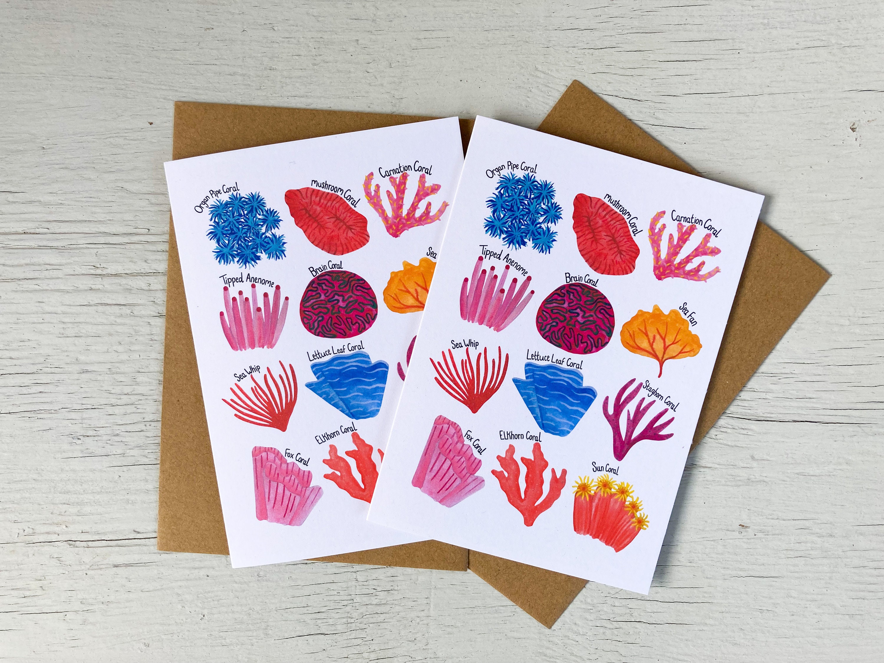 Collection of Sea Corals Types of Coral Greeting Card Sea Life Card ...