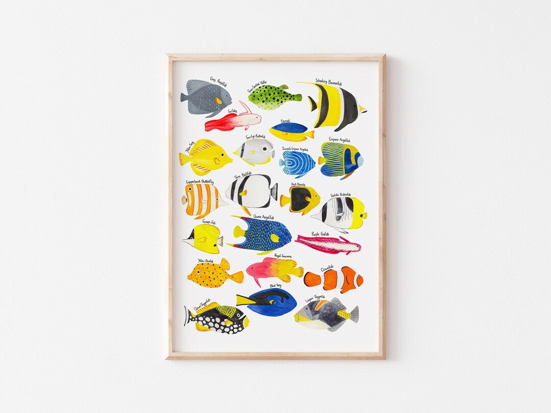 Types of Fish Poster Fish Species Poster Tropical Fish Print Great ...