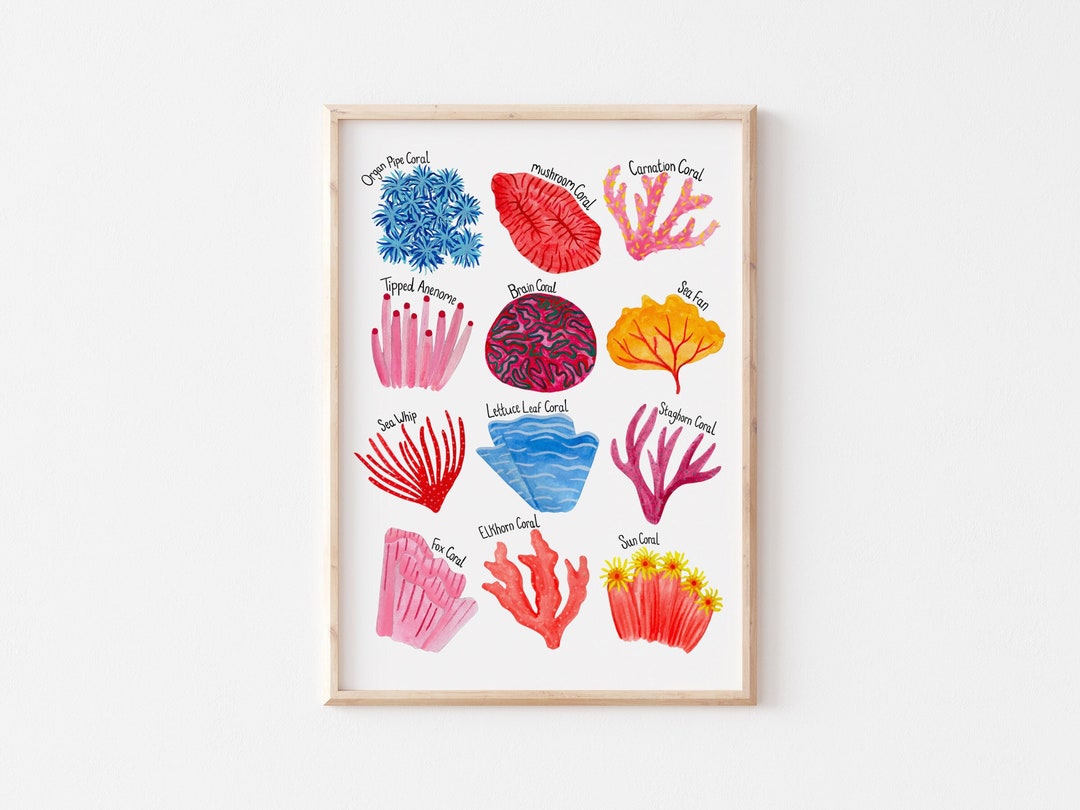 Types of Coral Art Print Coral Reef Poster Marine Life Art Coral ...