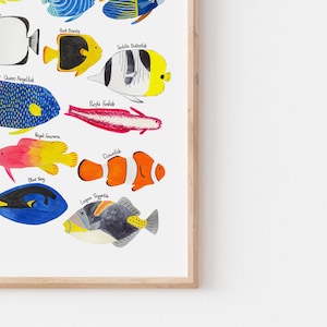 Types of Fish Poster Fish Species Poster Tropical Fish Print Great ...