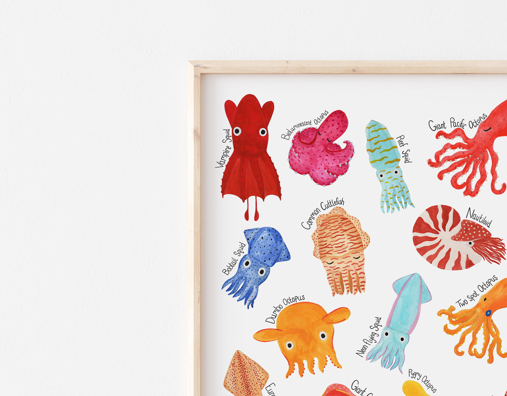 Types of Cephalopod Poster Octopus Poster Squid Poster Cuttlefish ...