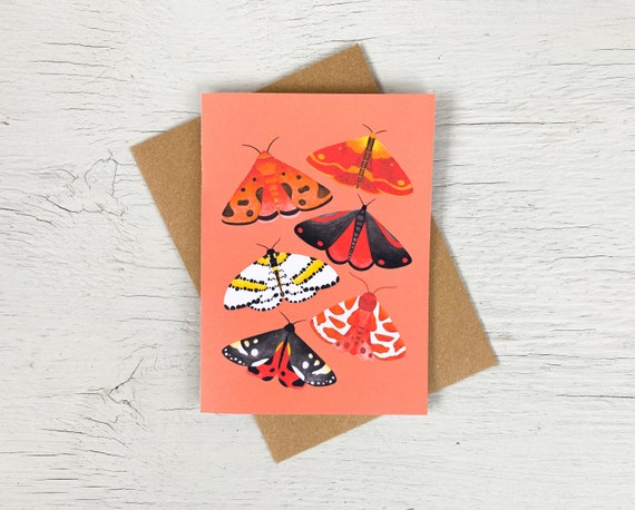 British Moths Greeting Card Moth Card Insect Card - Etsy