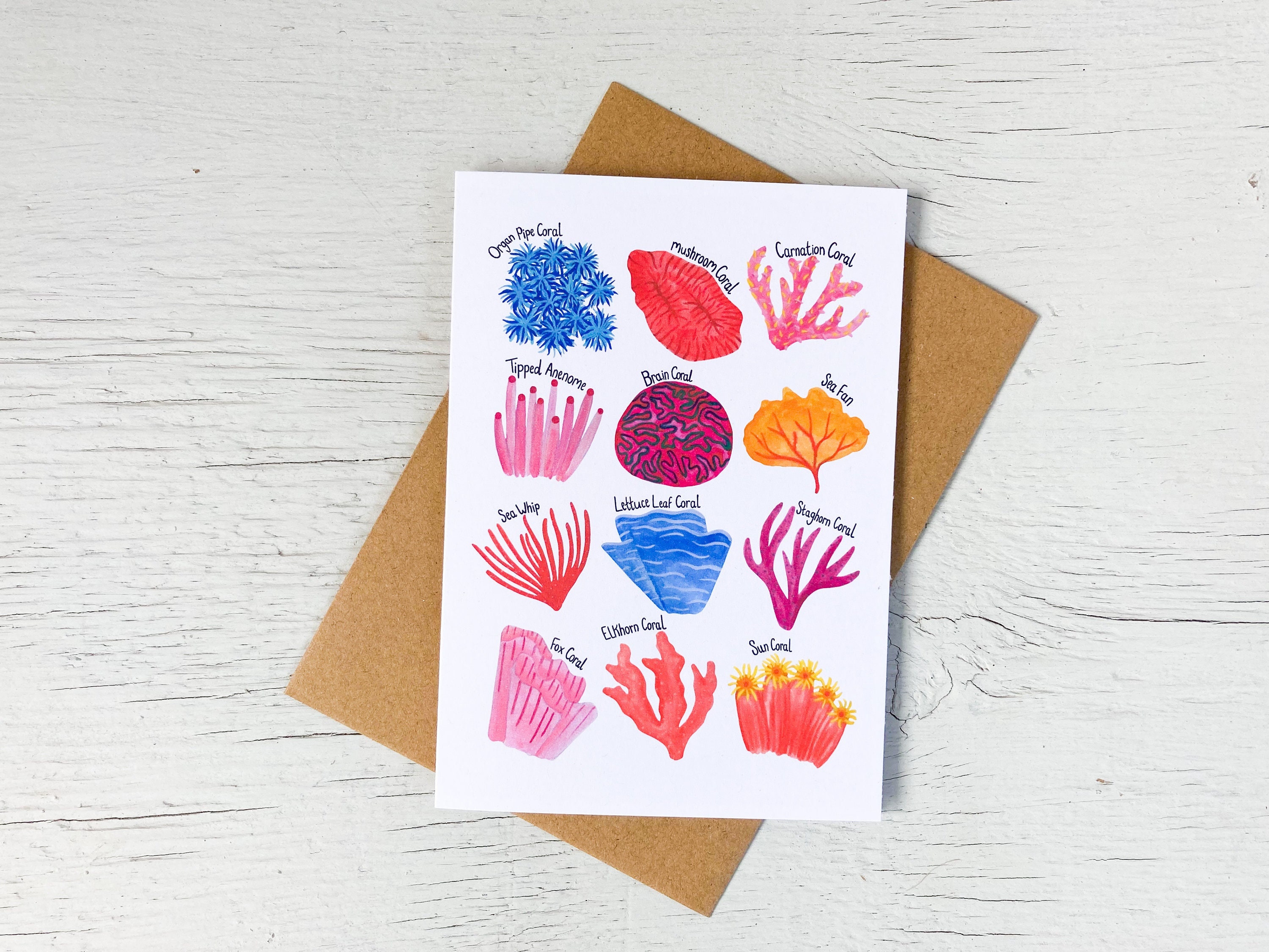 Collection of Sea Corals Types of Coral Greeting Card Sea Life Card ...
