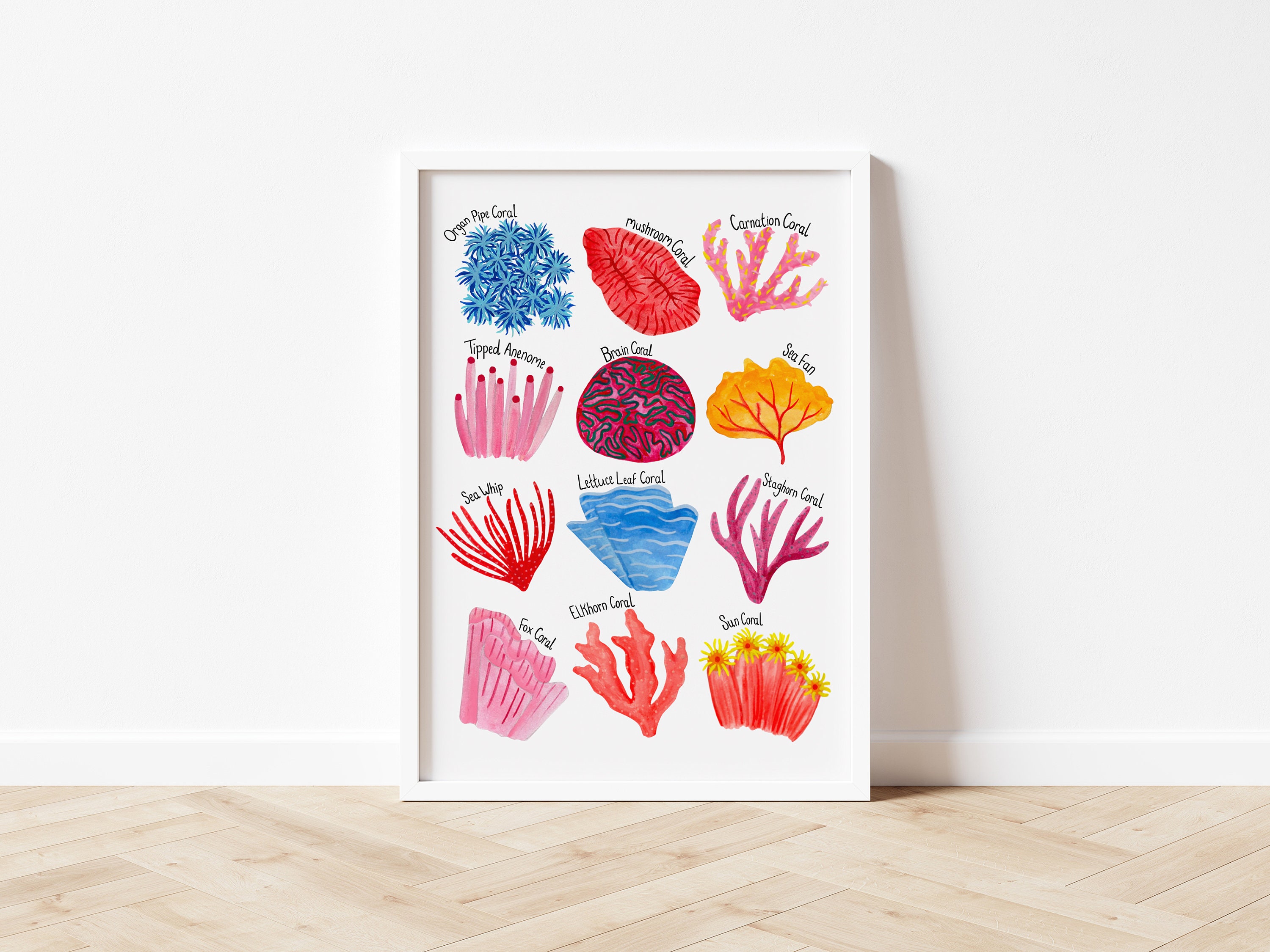 Types of Corals Poster | Ocean Art Print | Marine Life Art | Beach ...