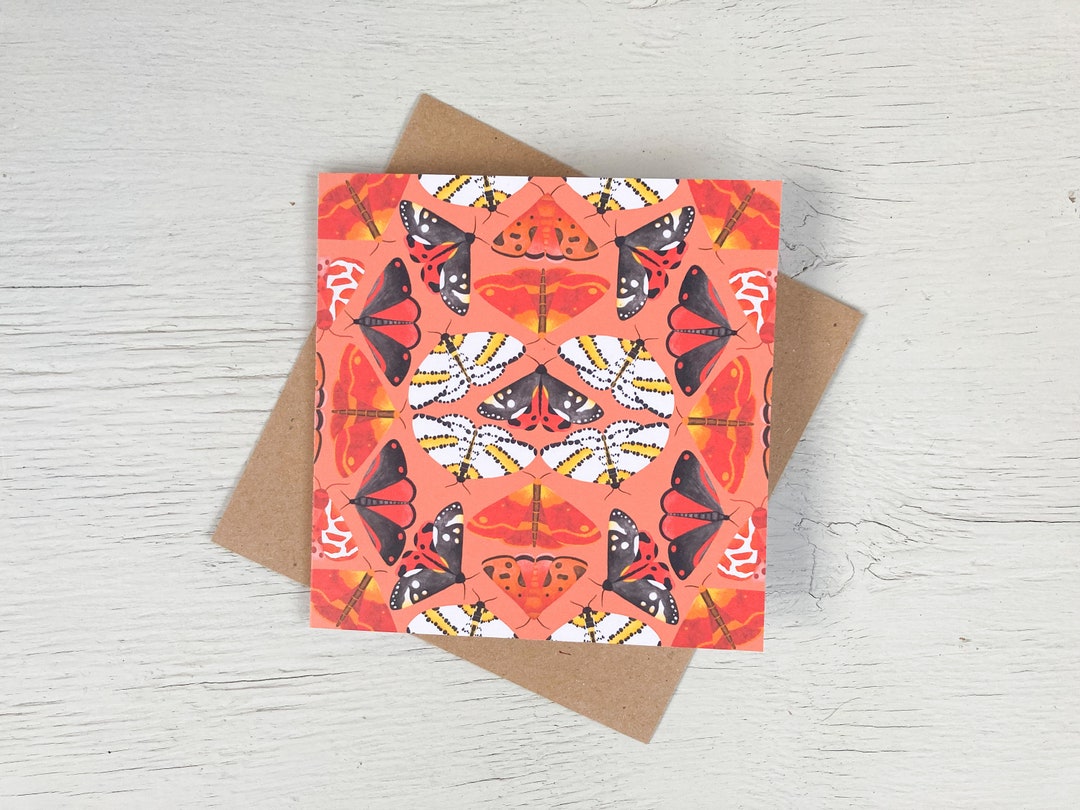 British Moth Card Moth Illustration Greeting Card Moth Art Card Insect ...