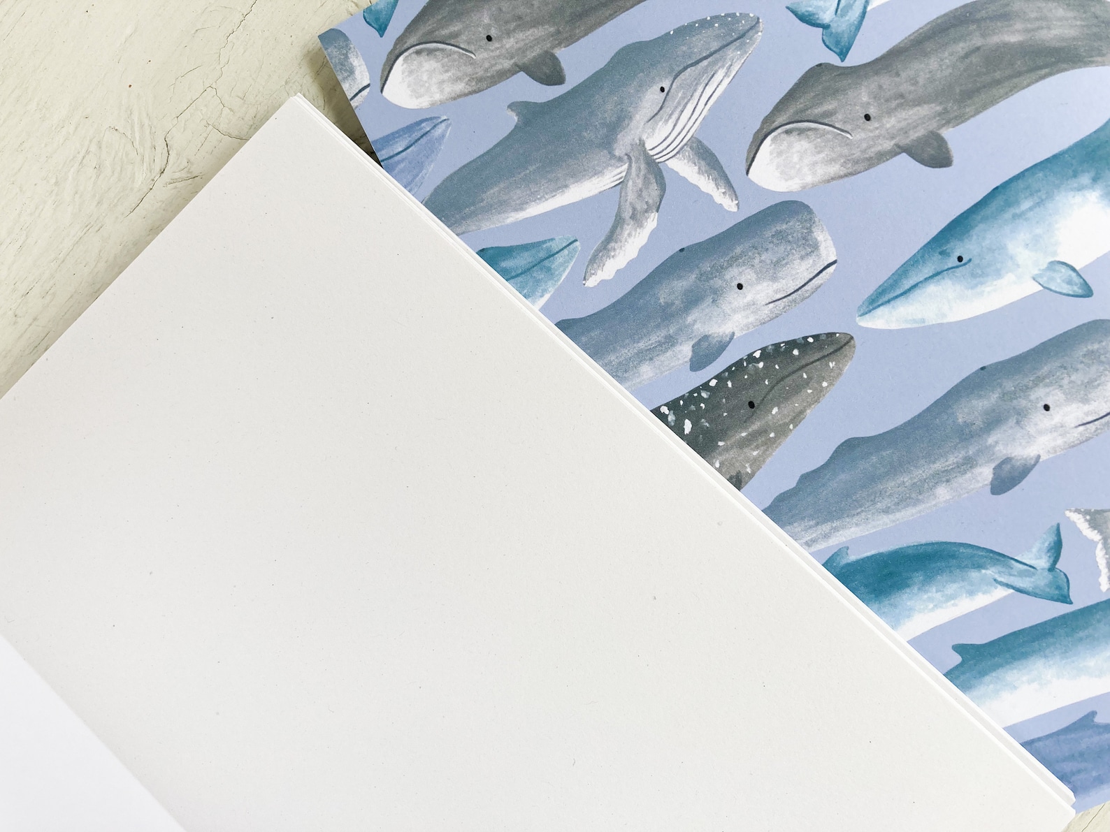 Baleen Whale A5 Recycled Notebook 48 Plain Pages Sea Life Notebook ...