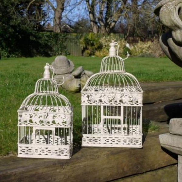 Bird Cage - Etsy UK