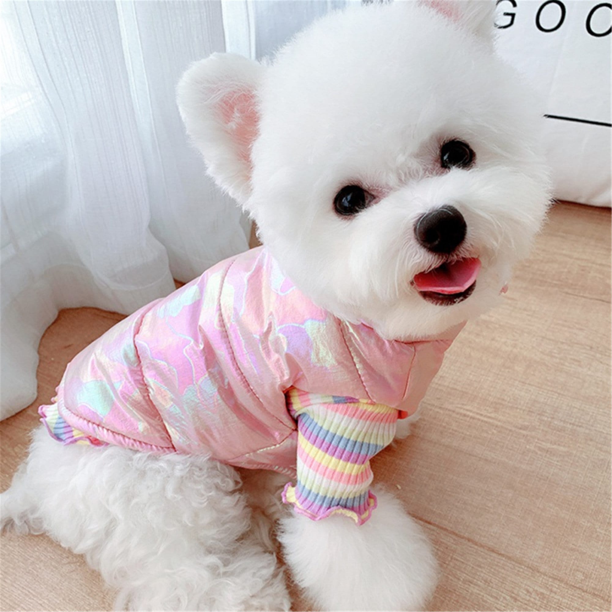 Ropa de mascotas para perros pequeños impermeable cachorro | Etsy