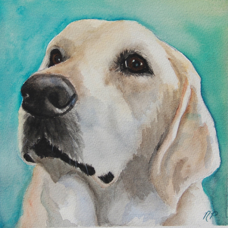 White Lab - Etsy