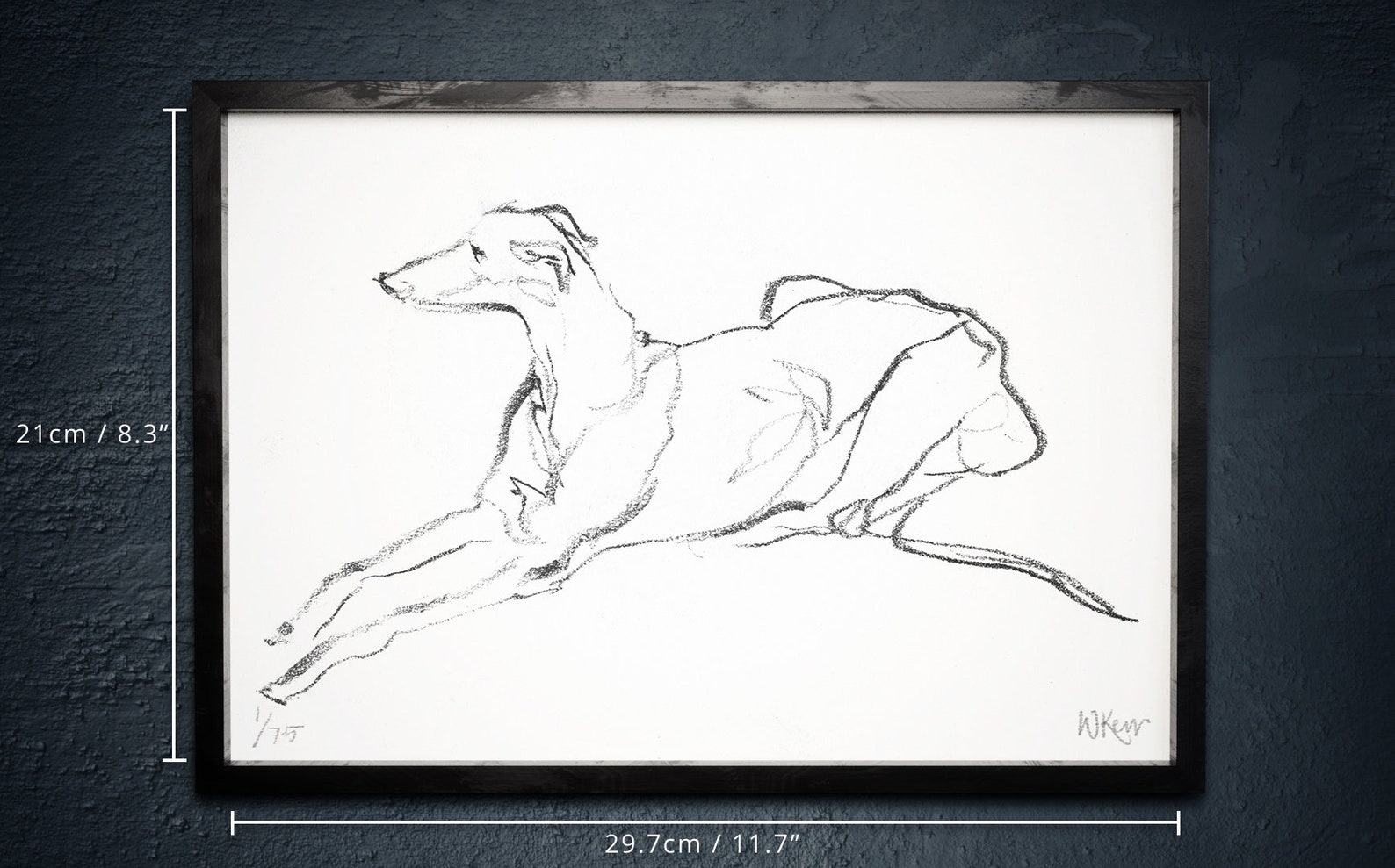 Greyhound Drawing Print the Sitting Greyhound Limited - Etsy