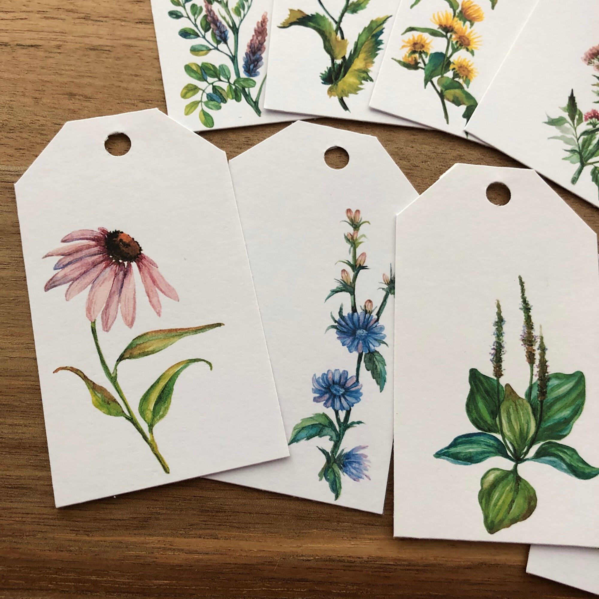 Botanical Floral Gift Tags Printable - Set of 8 - Etsy