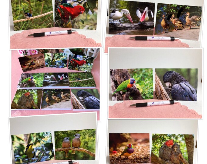 10 Pack Australian Birds Blank Greeting Cards, Bird Cards, Bird ...