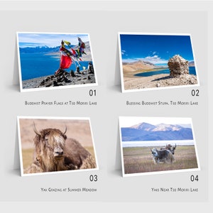 Himalaya Mountain 12 Fine Art Postcards Set Single Card Ladakh ...