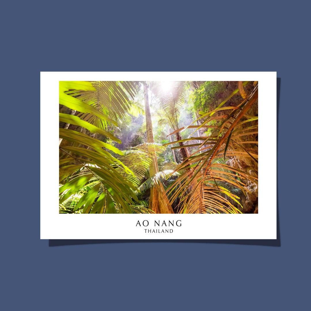 Rainforest Poster/postcard Thailand Jungle Nature Tropical Primary ...