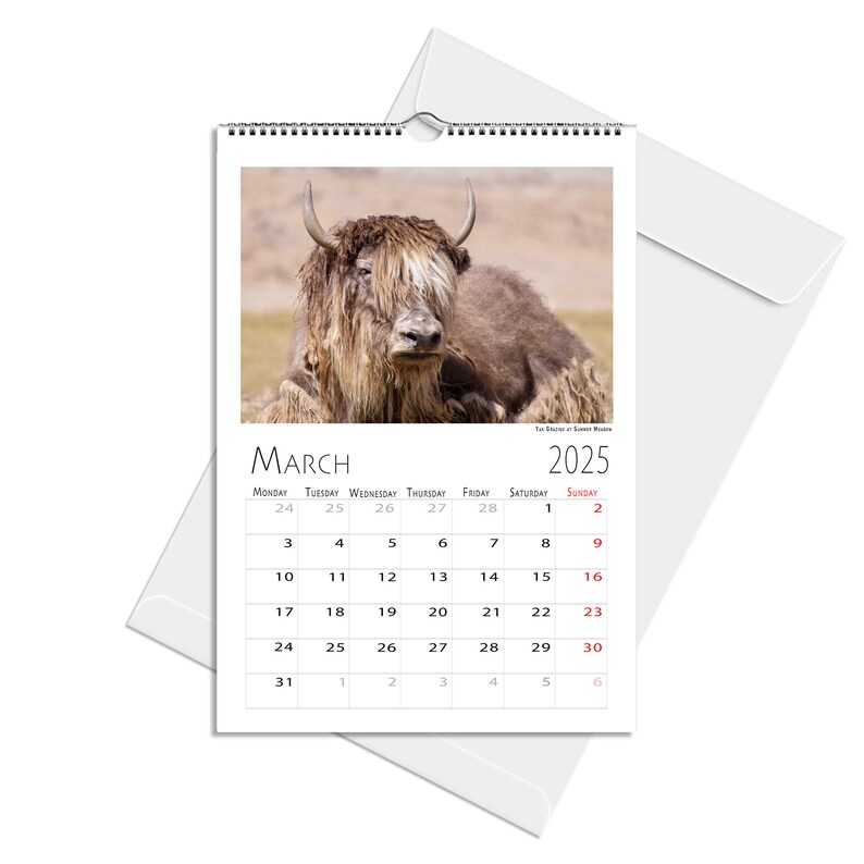 Himalaya Mountain 2025 Ladakh Vertical Wall Photo Calendar A3 A4 ...