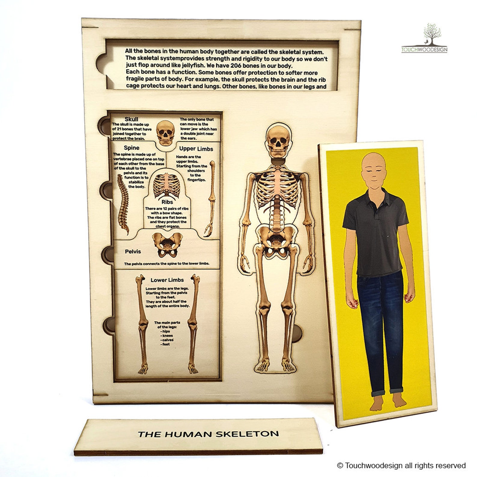 The Human Skeleton Montessori Toys Educational Wooden - Etsy