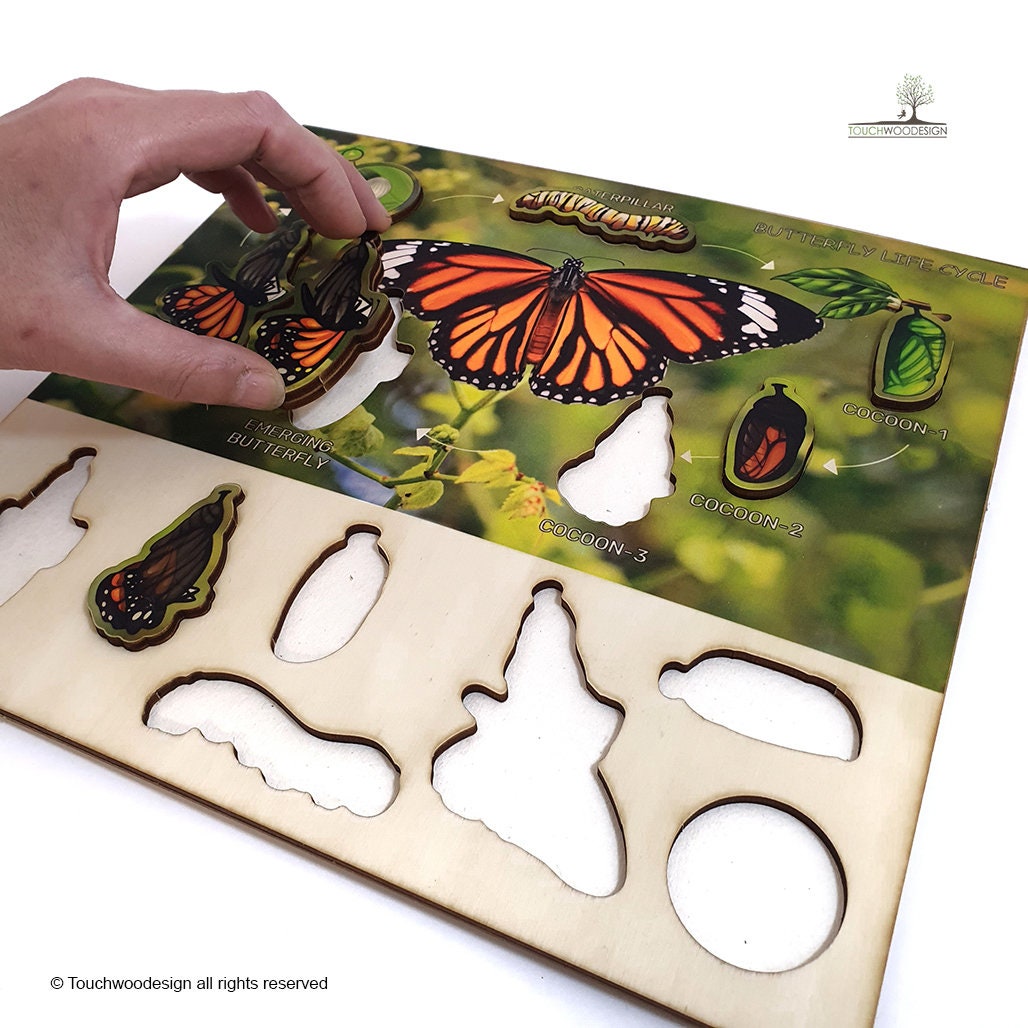 Butterfly Life Cycle Wooden Puzzle: Montessori Educational Toy - Etsy