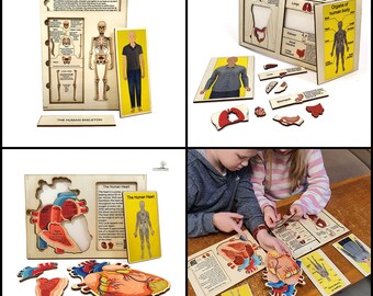 Montessori Human Body - Etsy