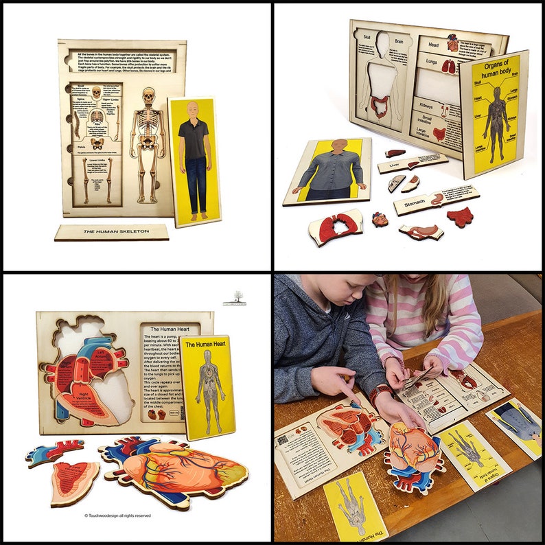 The Human Skeleton Montessori Toys Educational Wooden - Etsy