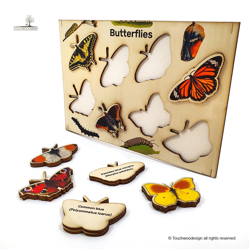 Butterfly Life Cycle Montessori Wooden Puzzle: Educational Toy - Etsy