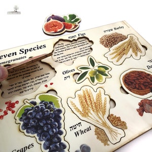 The Seven Species - Sukkot Festival - Non-toxic Educational Toys ...