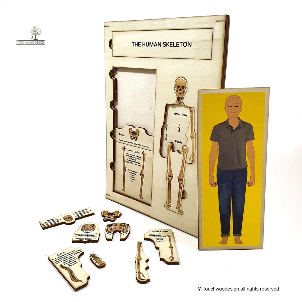 The Human Skeleton Montessori Toys Educational Wooden - Etsy