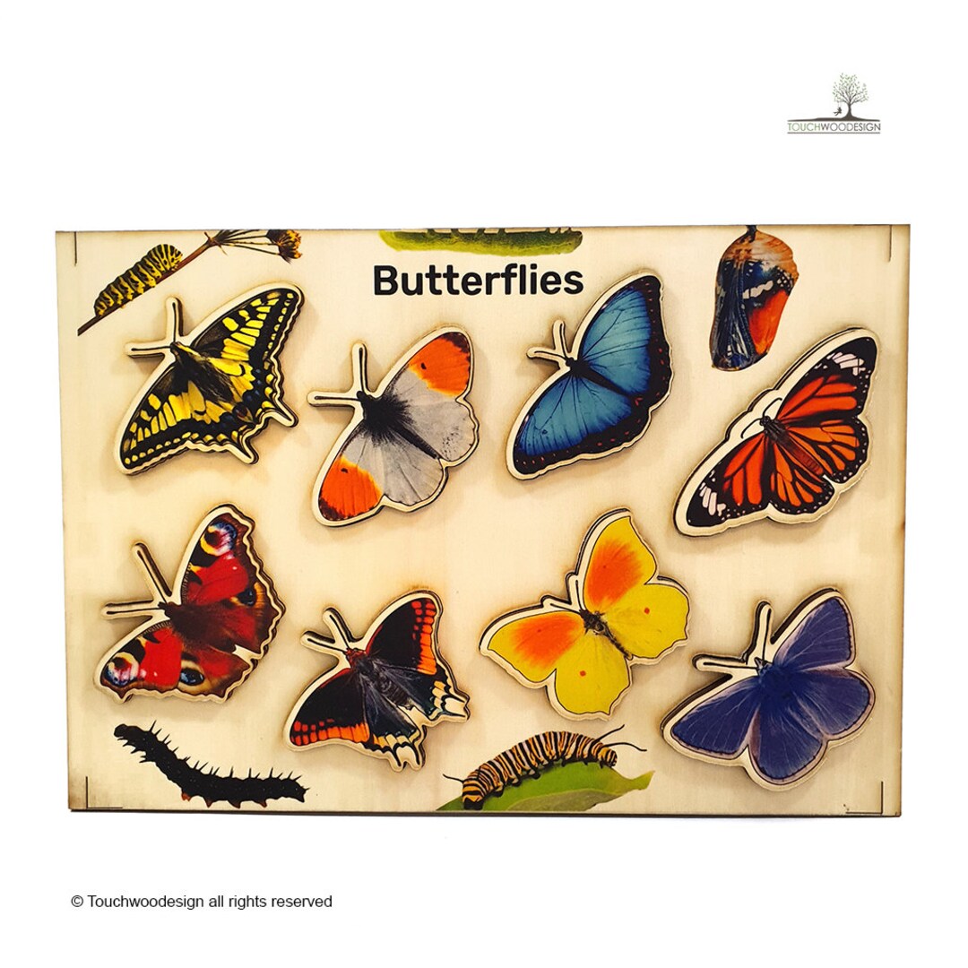 Butterfly Life Cycle Montessori Wooden Puzzle: Educational Toy - Etsy