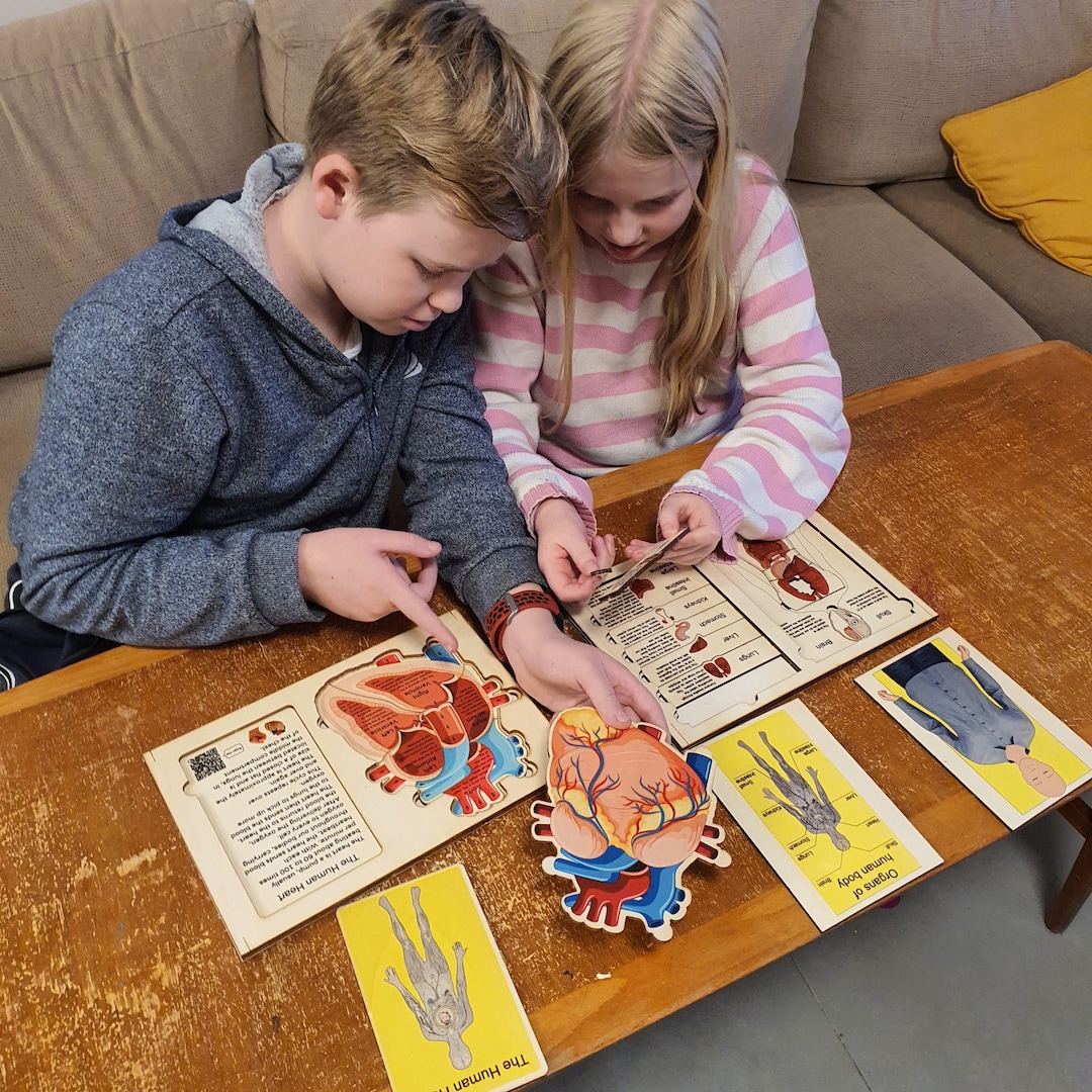 Set of 3 Human Body Puzzles - Montessori Toys - Educational Wooden ...