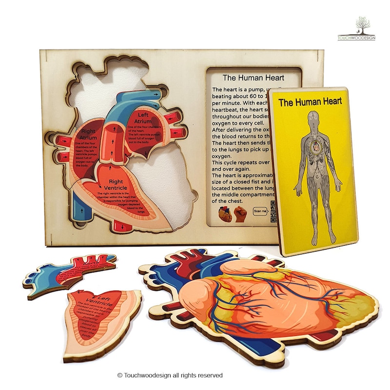 Wood Heart Puzzle - Etsy