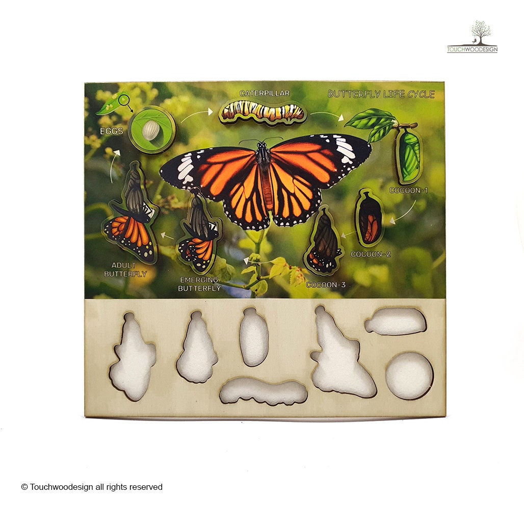 Butterfly Life Cycle Wooden Puzzle: Montessori Educational Toy - Etsy