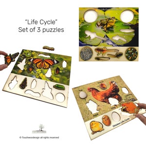 Set of 3 Life Cycles – Butterfly, Frog & Chicken - Educational, Non ...