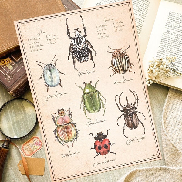 Illustration Print - Etsy