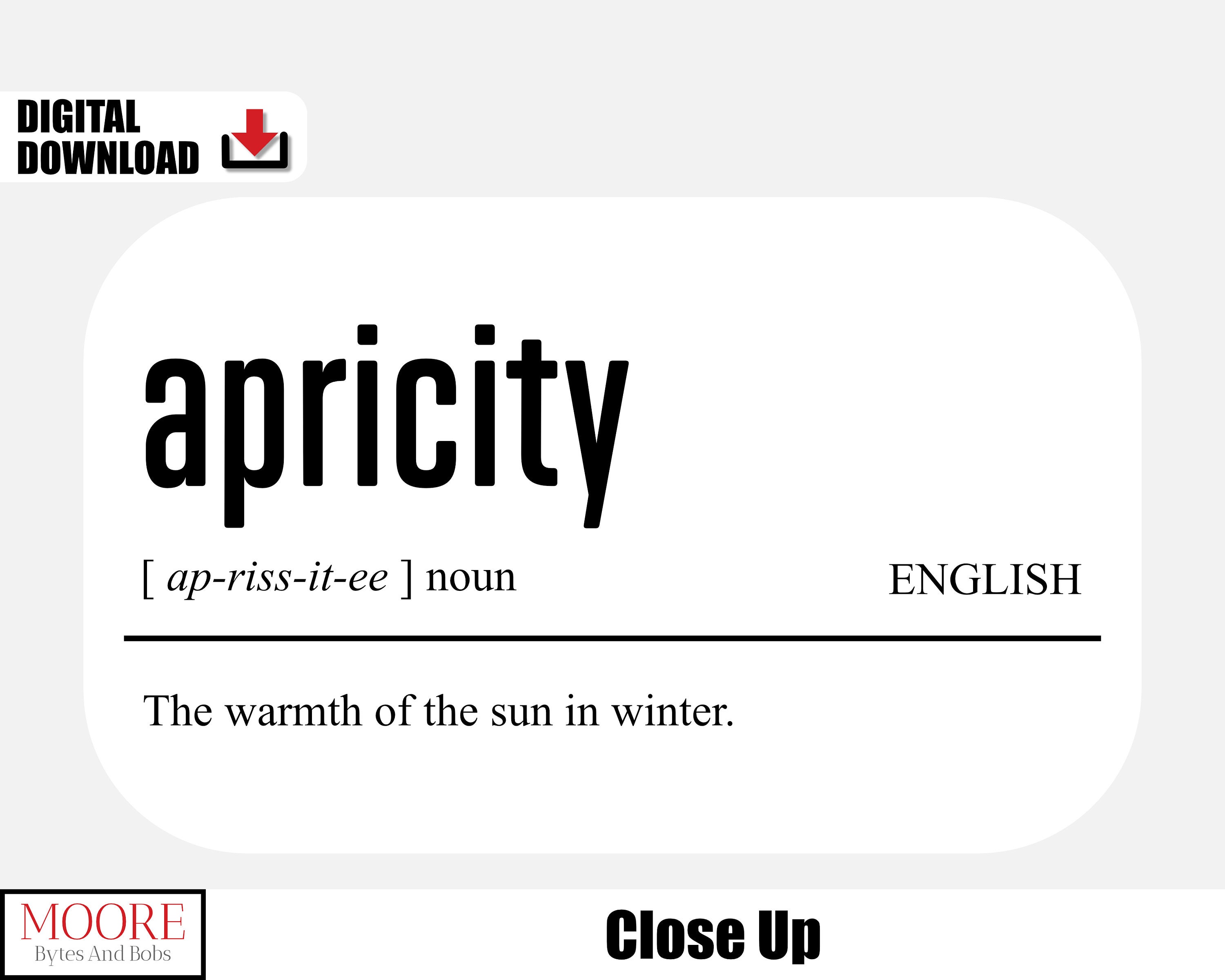 Apricity Definition Print, Printable Office Quote, Inspirational Words ...