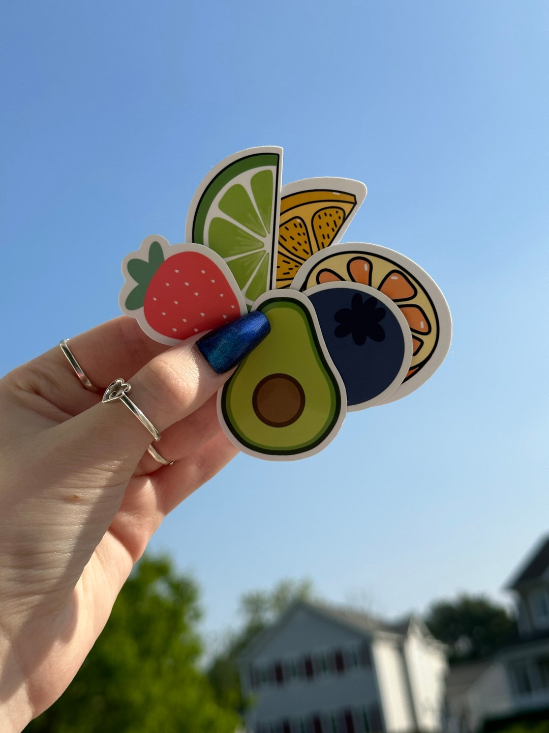 Fruit Sticker Pack | Adventuringstickers | 6 Pack | Lemon, Lime ...