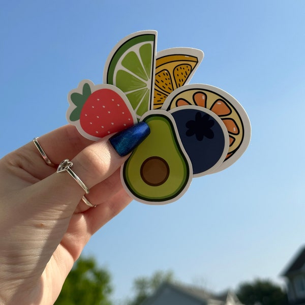 Fruit Stickers - Etsy