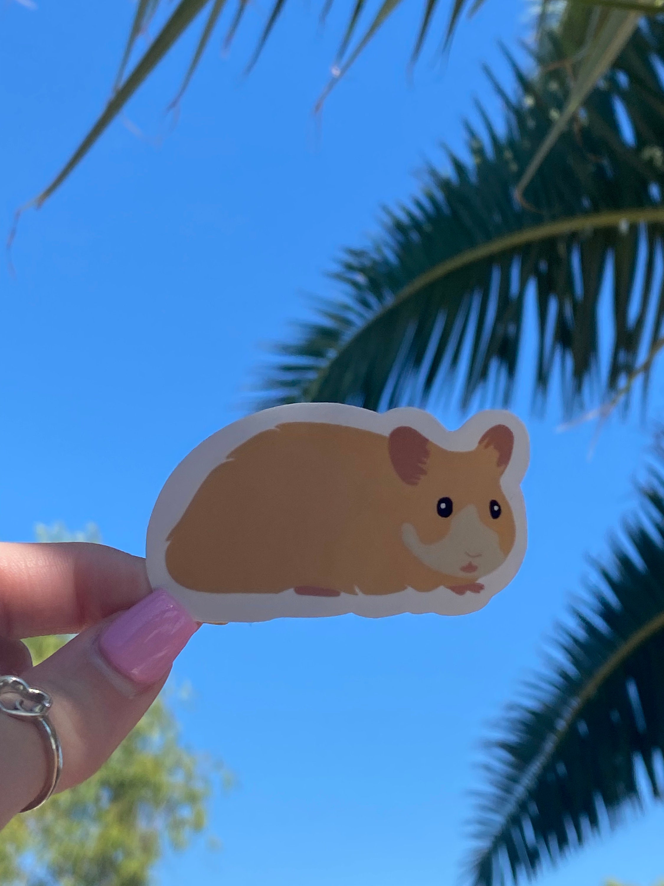 Hammy the Hamster Vinyl Sticker Adventuringstickers Animal - Etsy