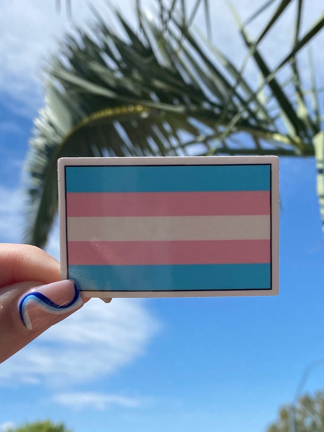 Transgender Pride Flag Sticker | Adventuringstickers | Pride Flags ...
