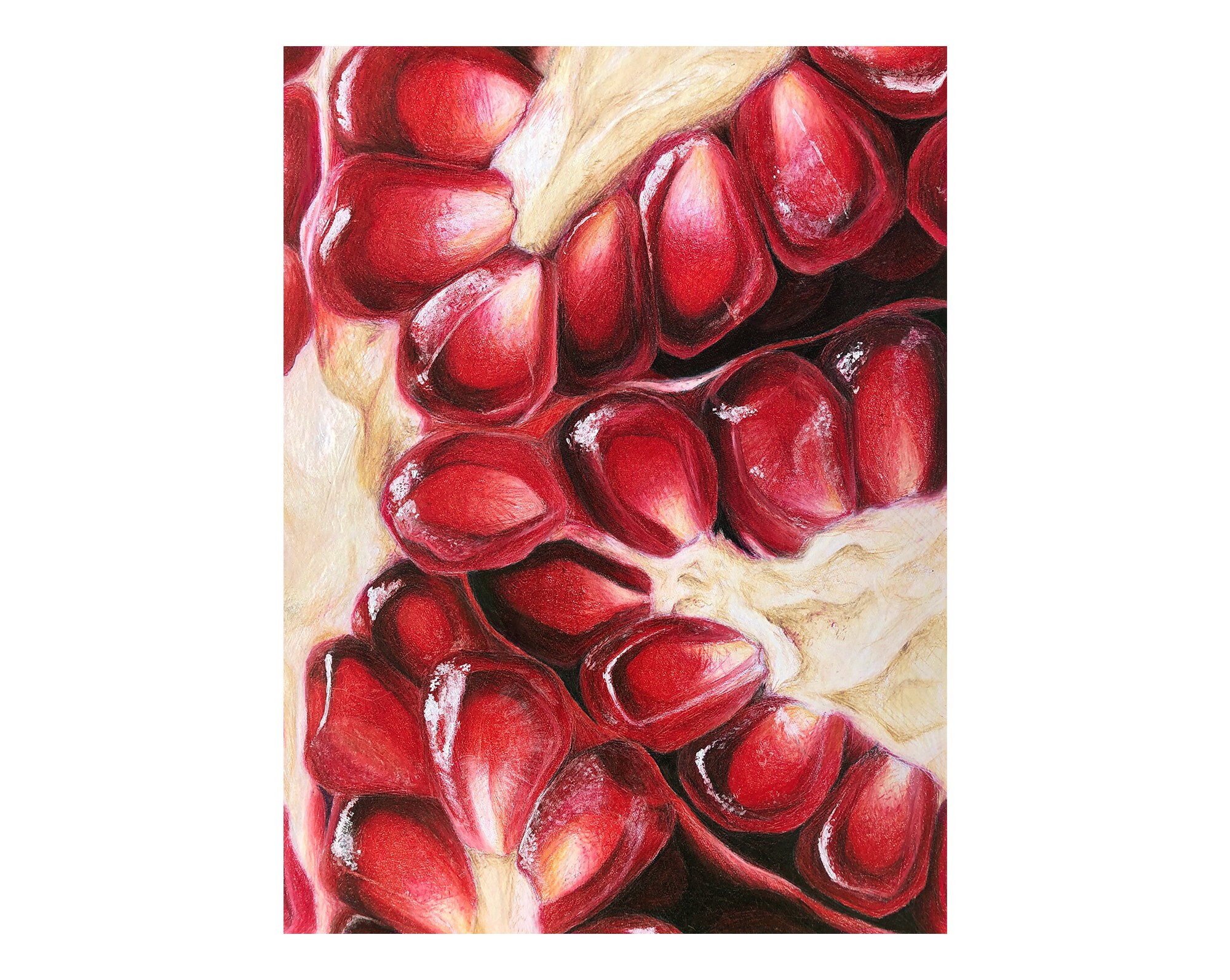 Pomegranate Drawing Art Print - Etsy