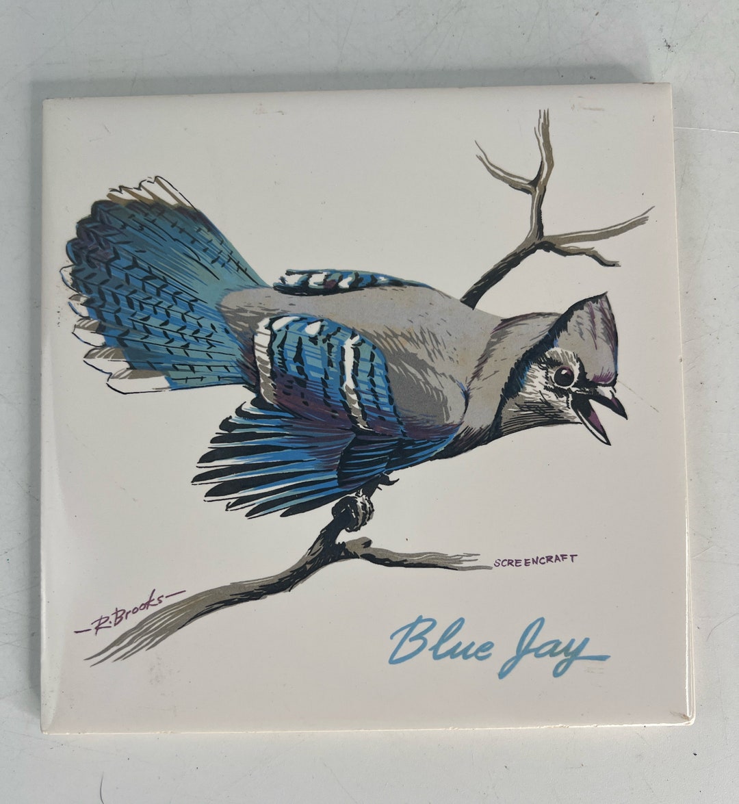 Blue Jay 6" X 6" Screen Craft Tile - Etsy