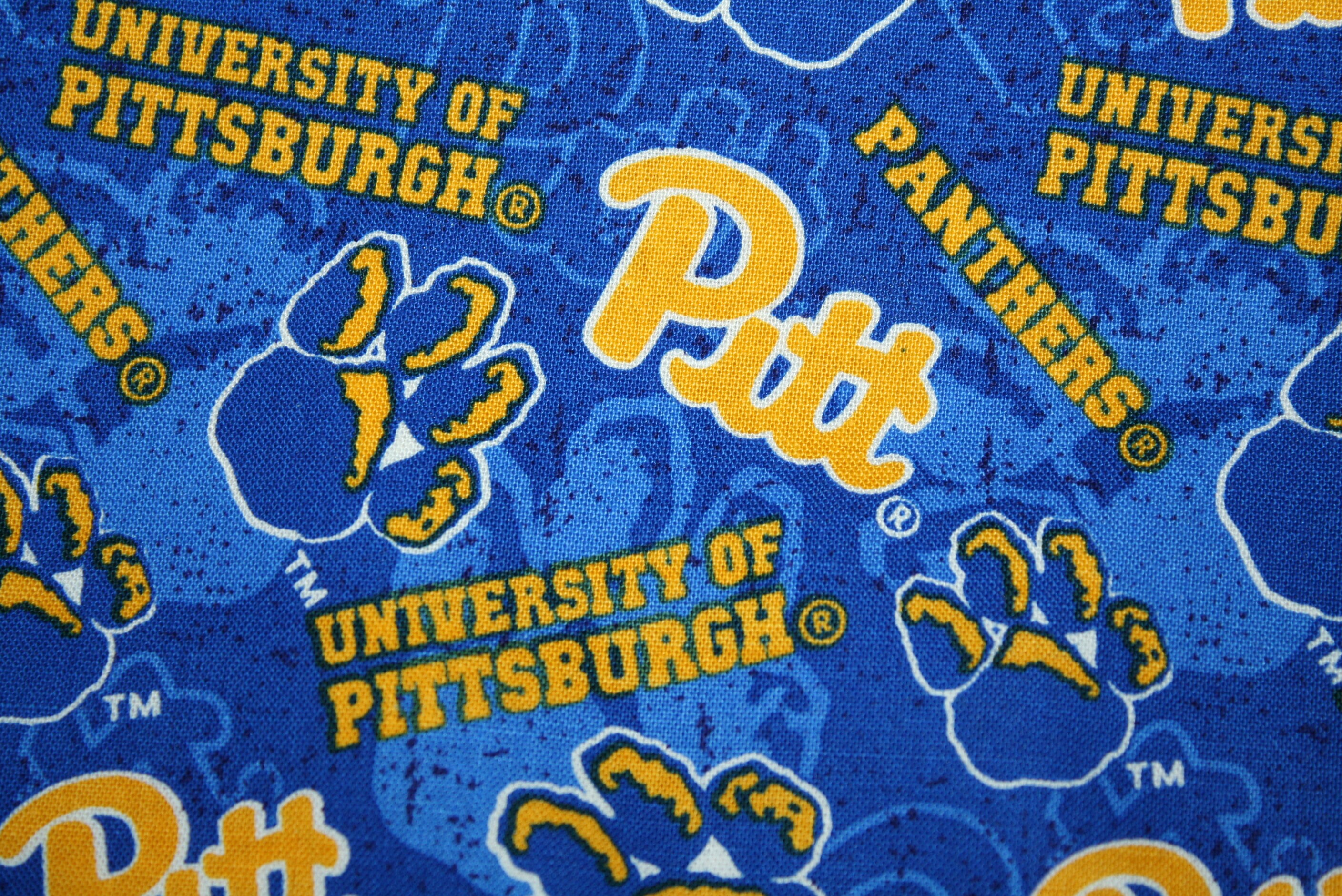 Pittsburgh University Cotton Fabric Panthers Material 1/4 Yard 9" X 43 ...