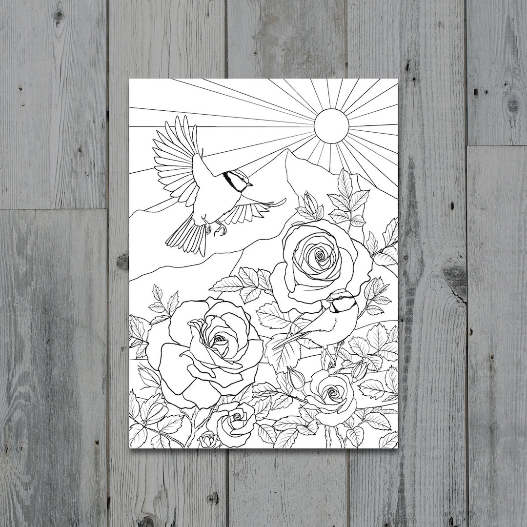 Birds Printable Colouring Sheet - Digital Download Colouring Pages ...